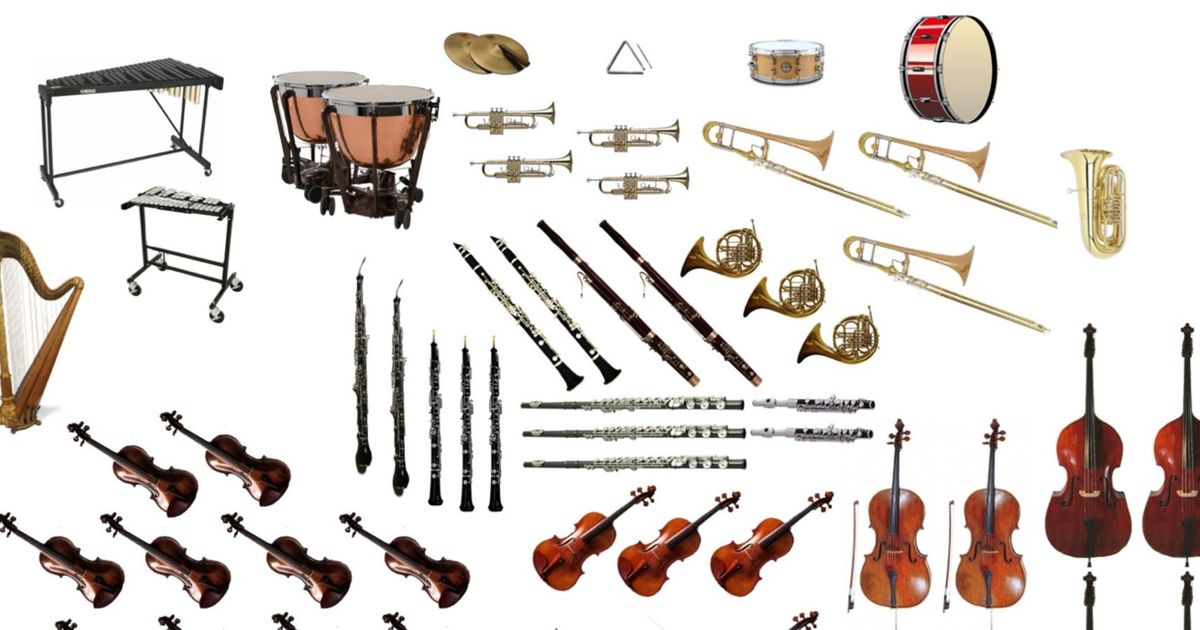 get to know the instruments of the orchestra | de Doelen